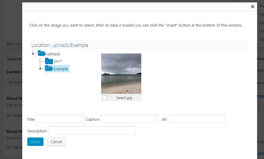 Our Guide To Advanced Custom Fields Tutorial Helpful Plugins More